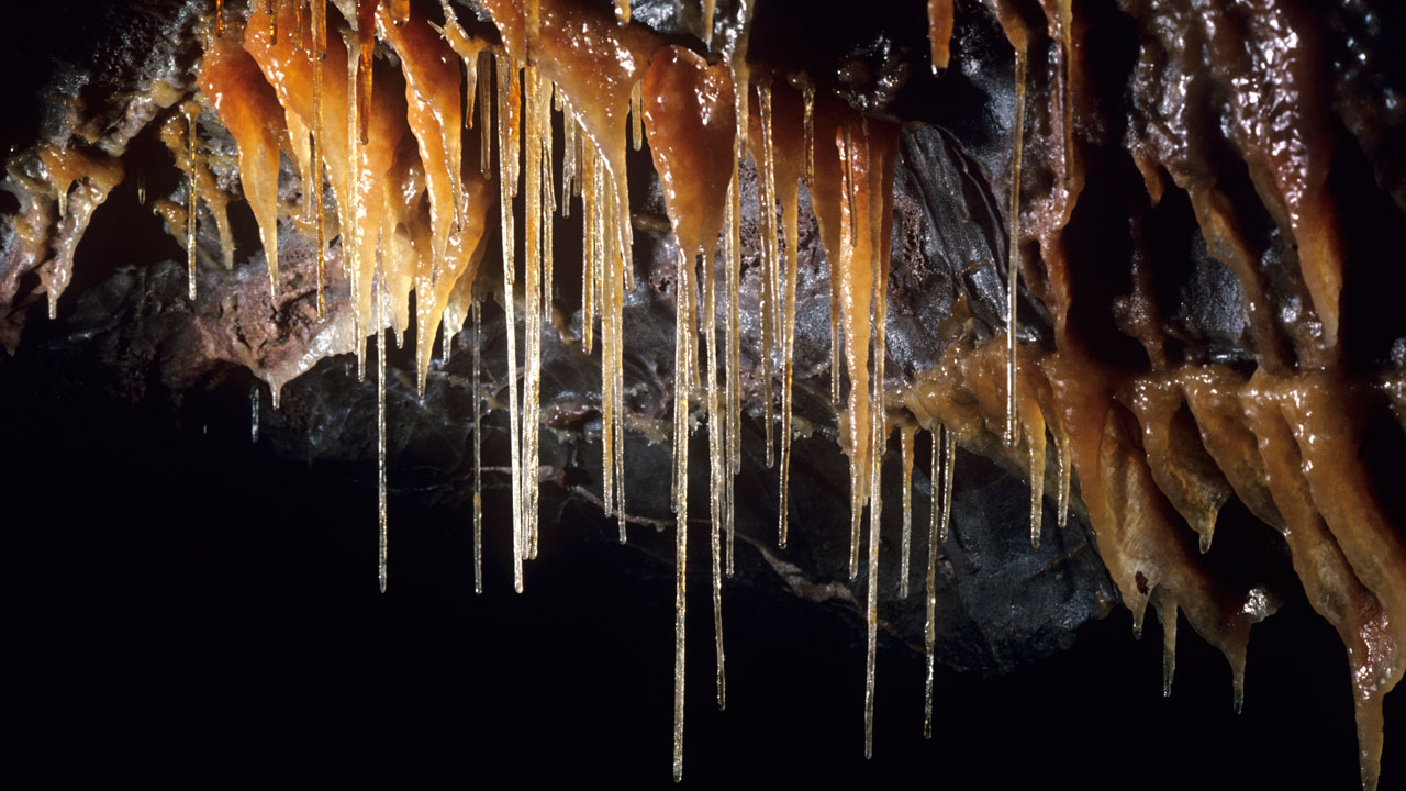 Caves Planet Earth BBC America