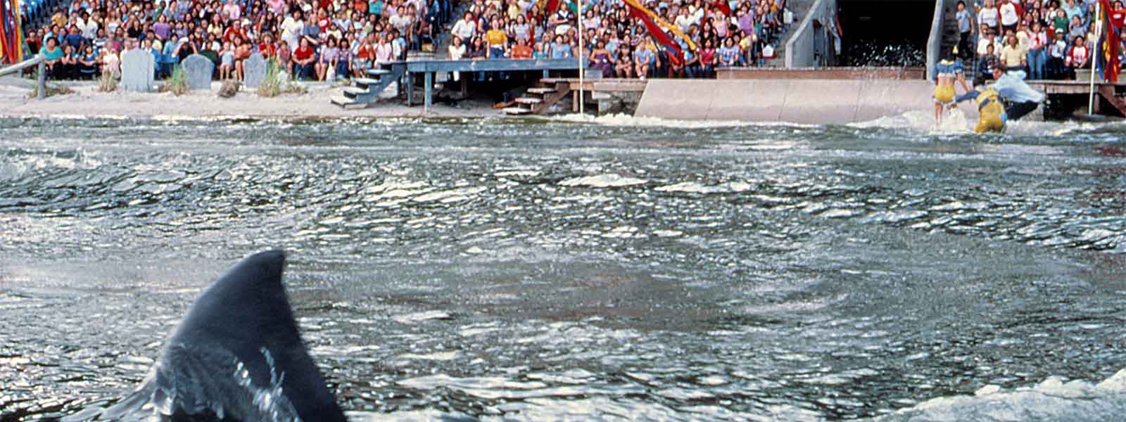 AMC Movies Streaming Now - AMC