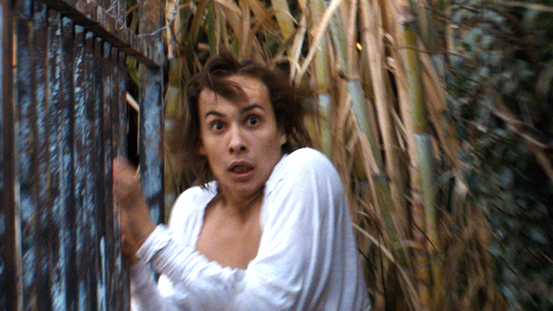 Fear the Walking Dead – A Fuga de Nick | AMC Brasil