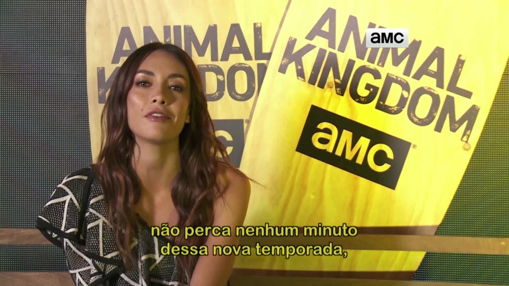 Animal Kingdom S02 | Wave | AMC Brasil