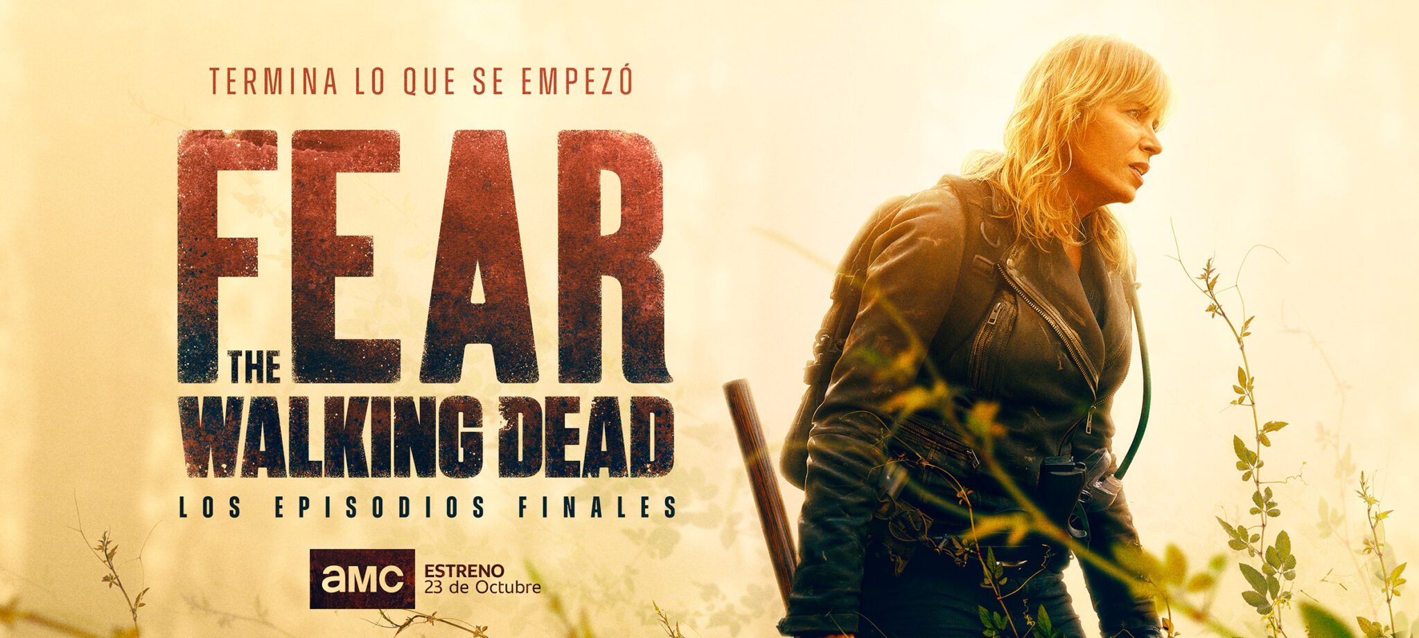 Series | AMC Latin America