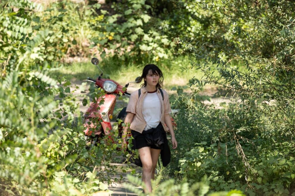 Series | AMC Latin America