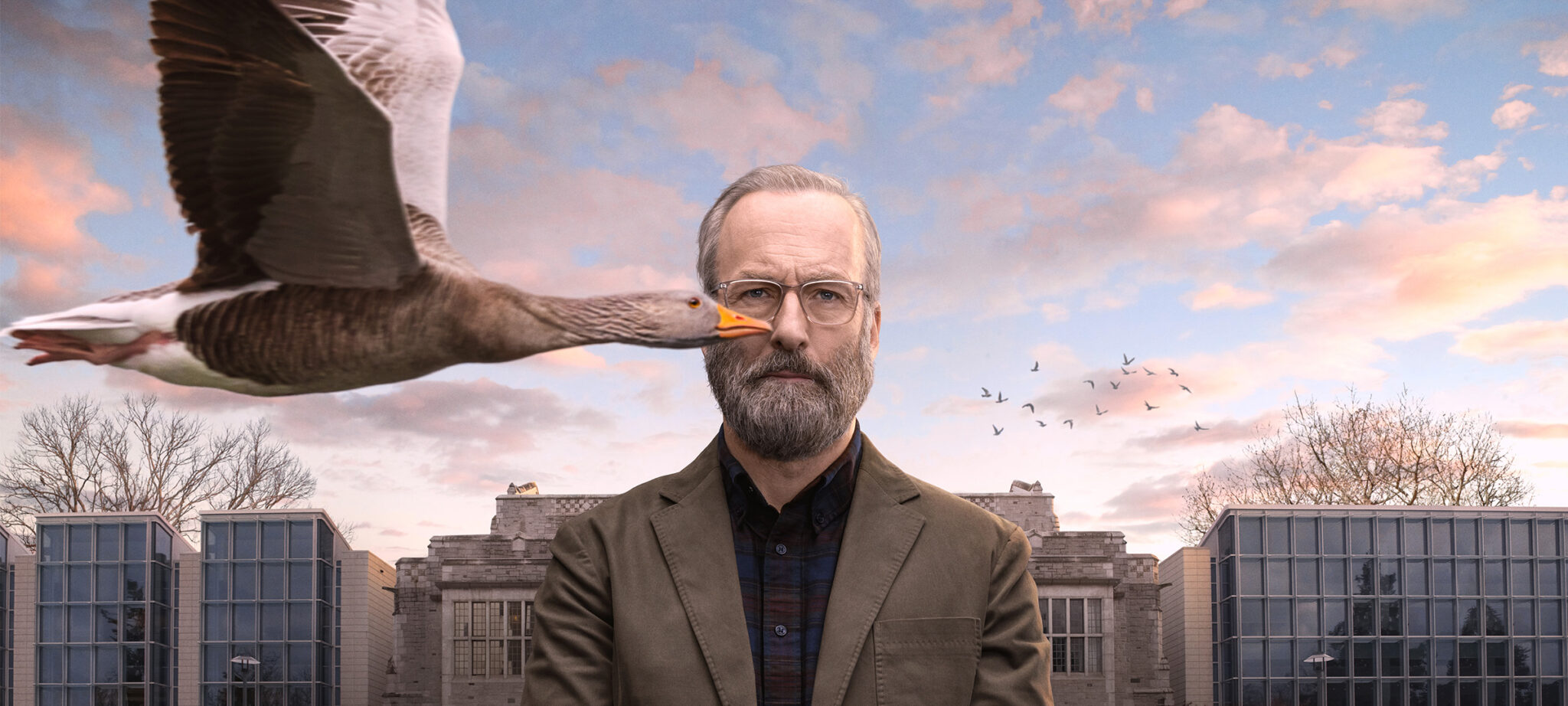 Series | AMC Latin America