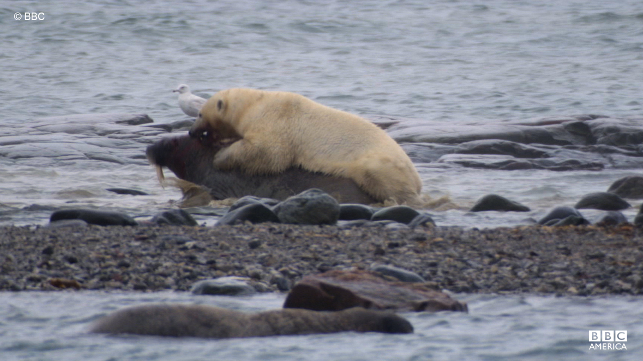 Ice Worlds | BBC America