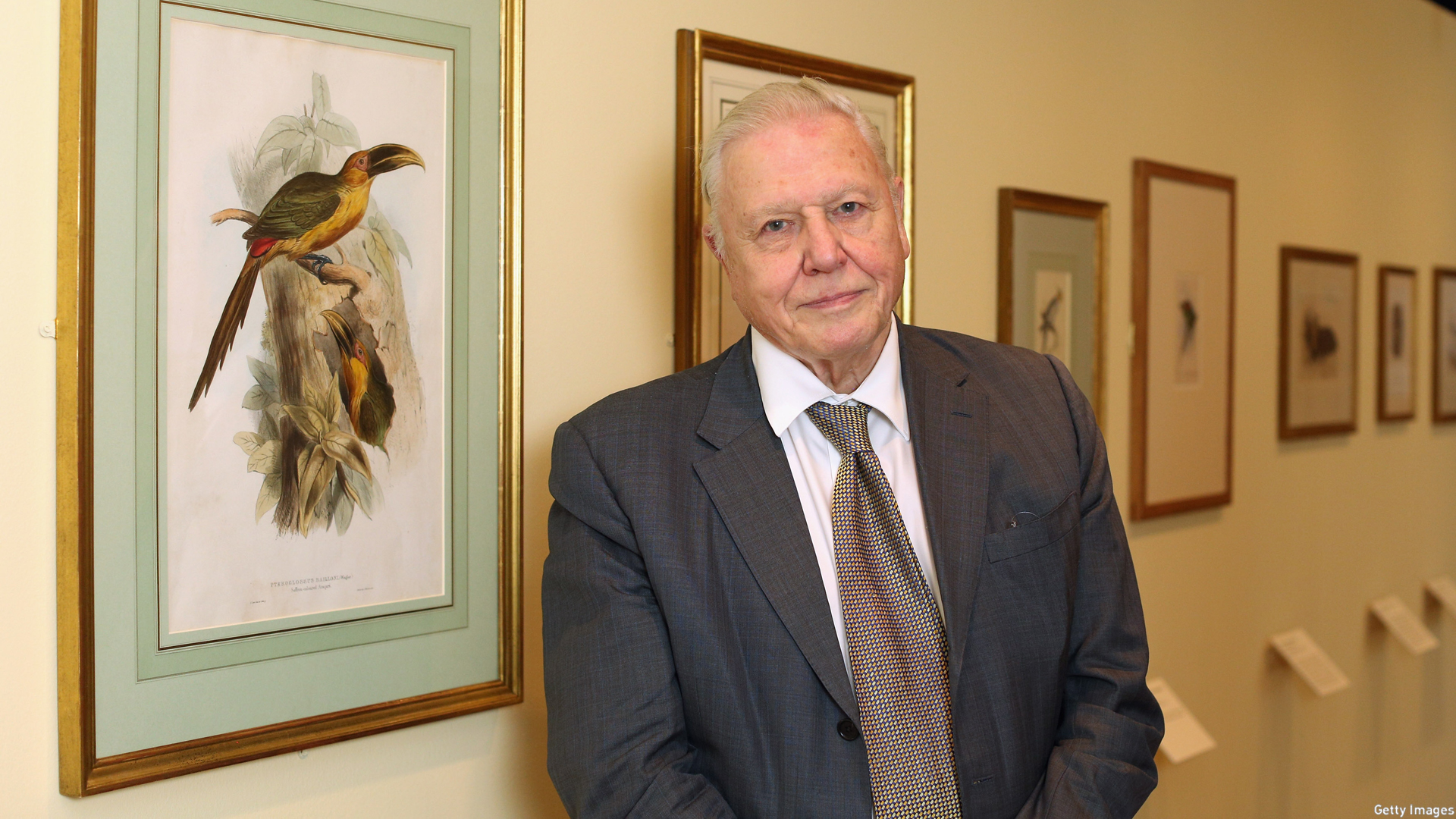 Sir David Attenborough’s Killer Career: 10 Legendary Accomplishments ...